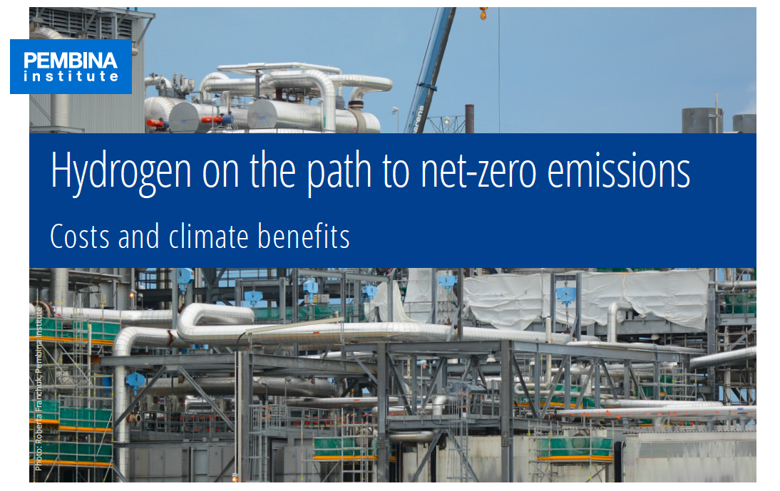 Hydrogen on the path to net-zero emissions