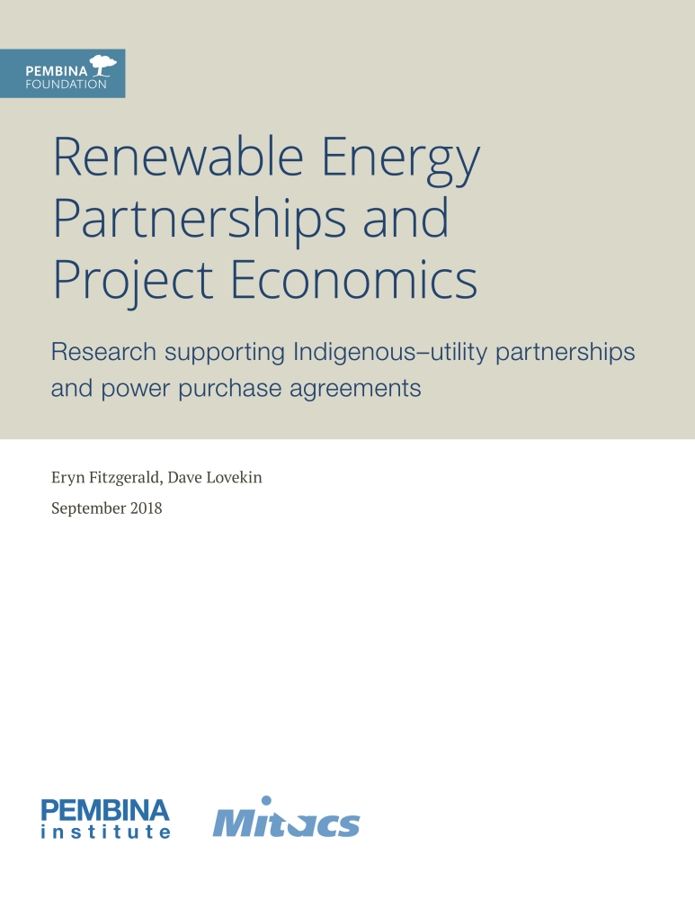Renewable Energy Partnerships and Project Economics